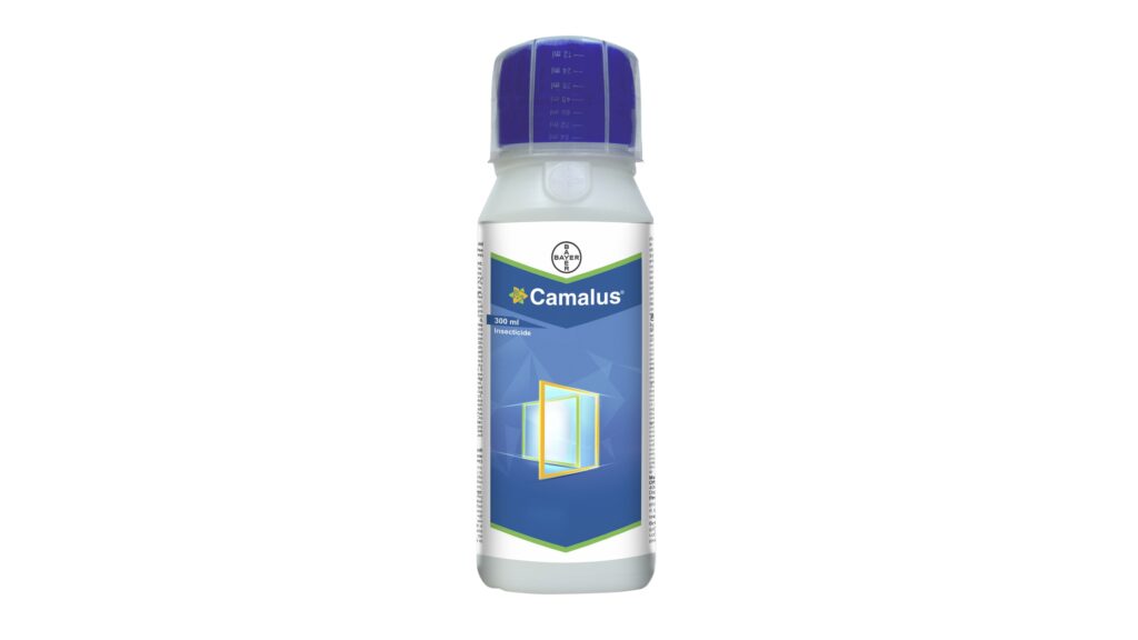 Bayer launches CAMALUS, a unique pest spectrum insecticide for smarter ...