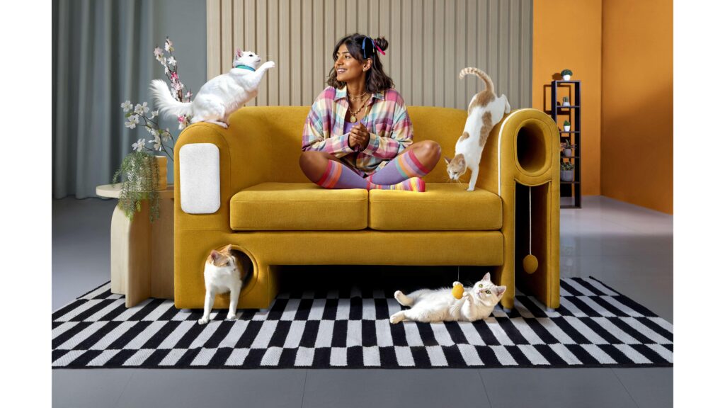 Sleepyhead Launches the Purr-fect Couch, India’s First Sofa Built for ...