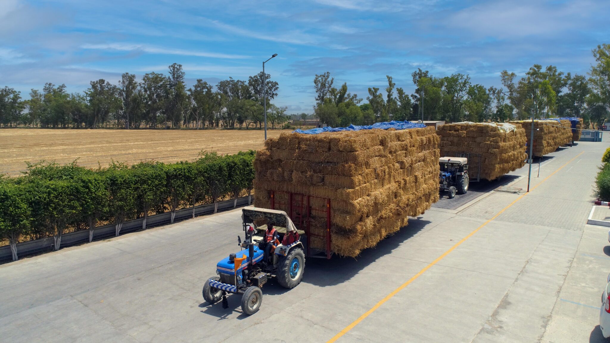 SAEL to Procure ~20 Lakh Tonnes of Paddy Stubble this Season Via ...